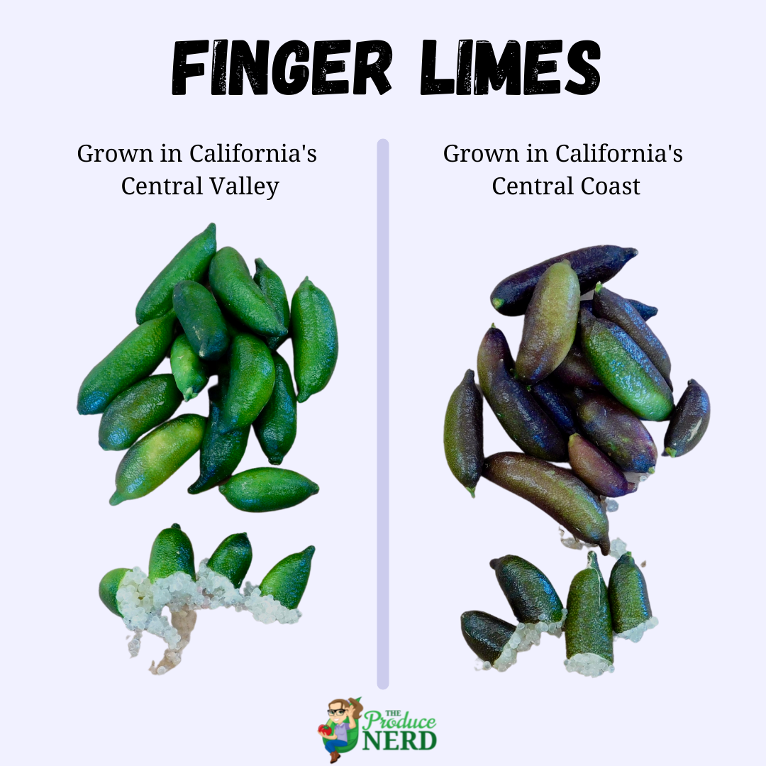 What Is A Finger Lime? - The Produce Nerd