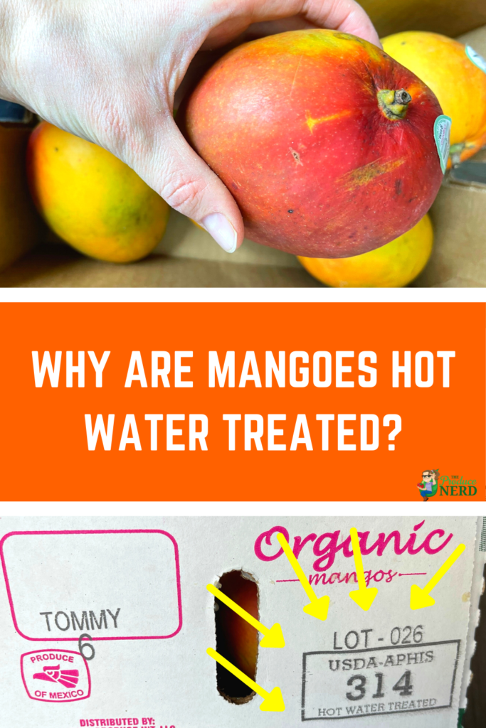 Why Are Mangoes Hot Water Treated? - The Produce Nerd