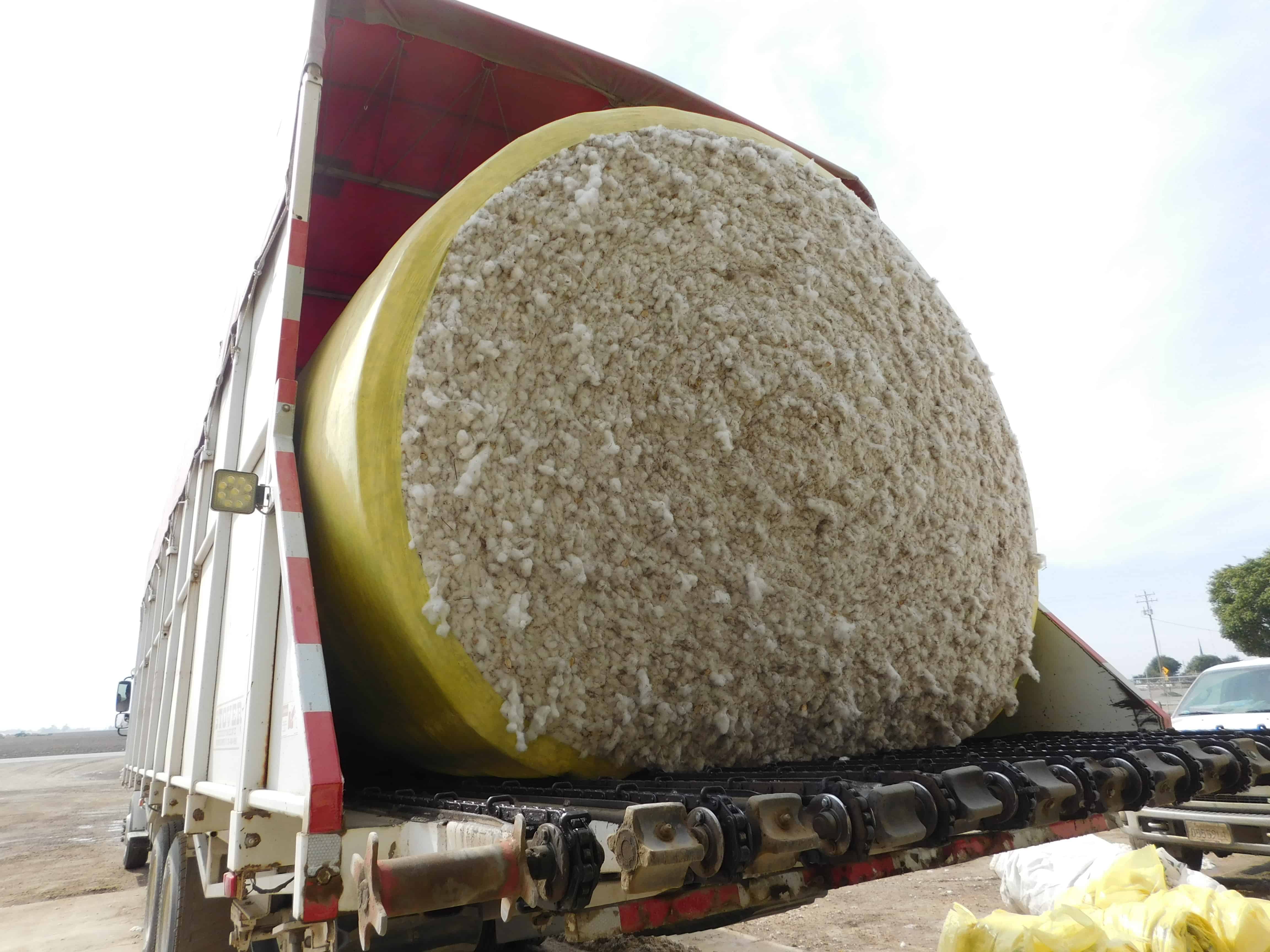 Cotton Harvest & Ginning | The Produce Nerd