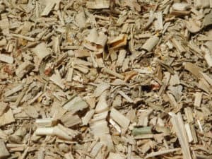 Corn Silage Production - The Produce Nerd