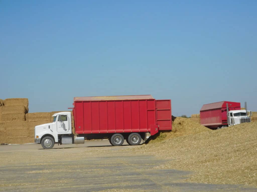 Corn Silage Production - The Produce Nerd