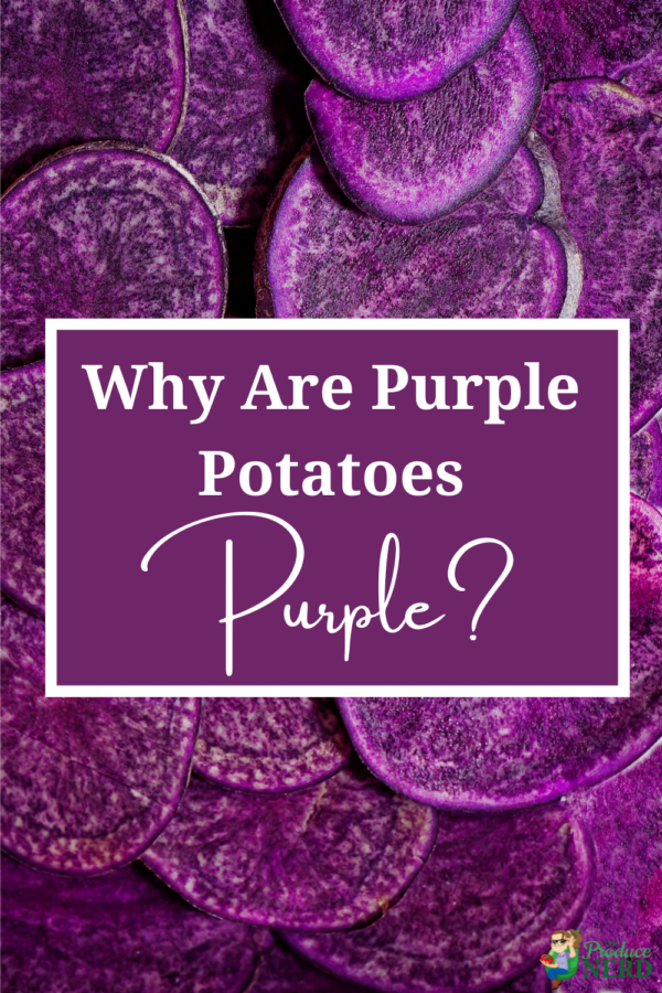 What is a Purple Potato & Why Are They Purple? - The Produce Nerd