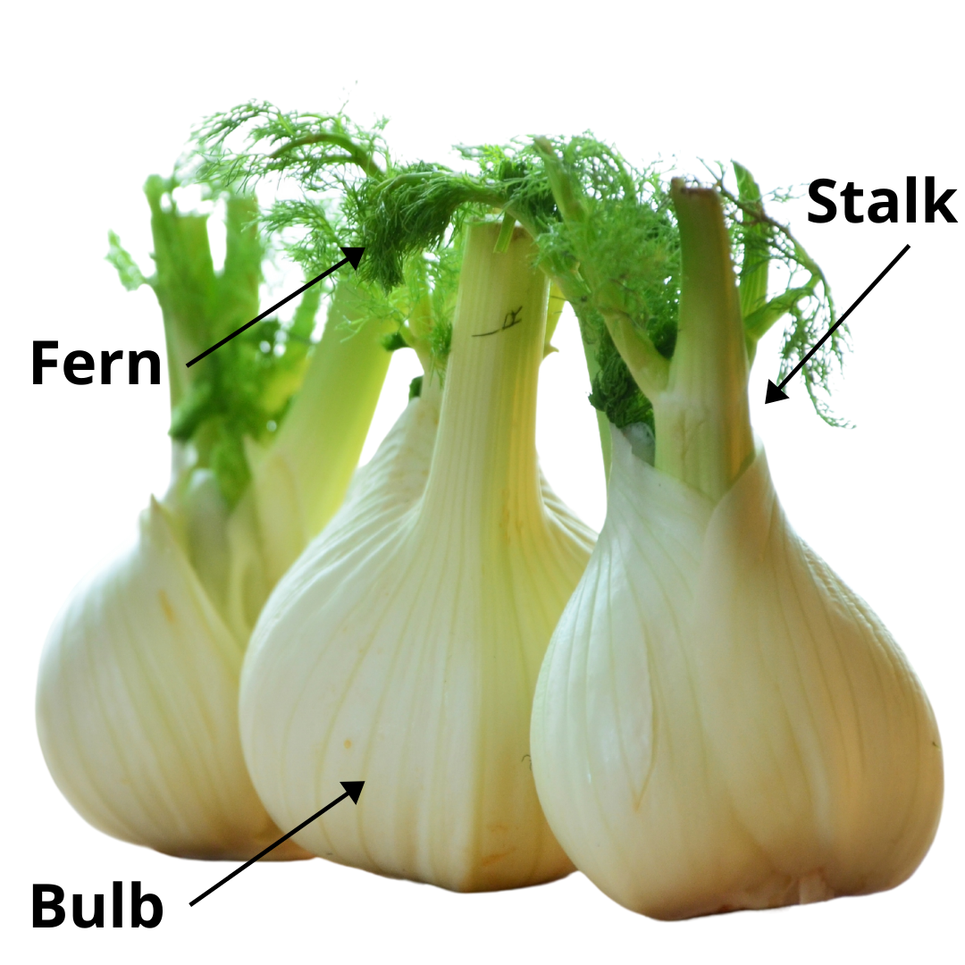 How to Select, Store & Prepare Fennel - The Produce Nerd
